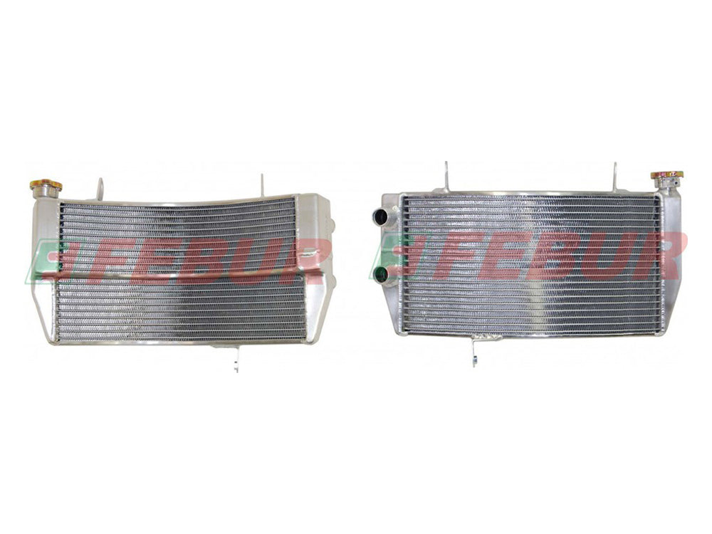 FEBUR Ducati Superbike 848/1098/1198 (07/13) Complete Water Radiator ...